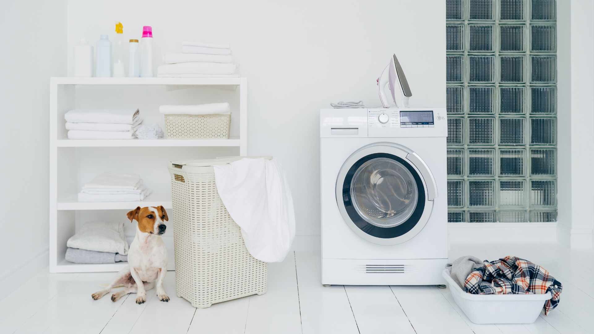 Building materials for dry basement rooms | Saint-Gobain Weber